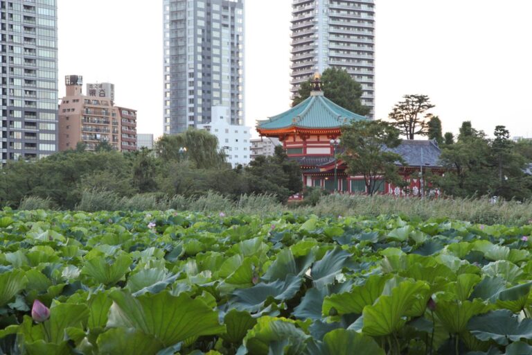 金運上昇のご利益あり？！東京都のパワースポット 上野の不忍池弁天堂 | JAPAN WEB MAGAZINE
